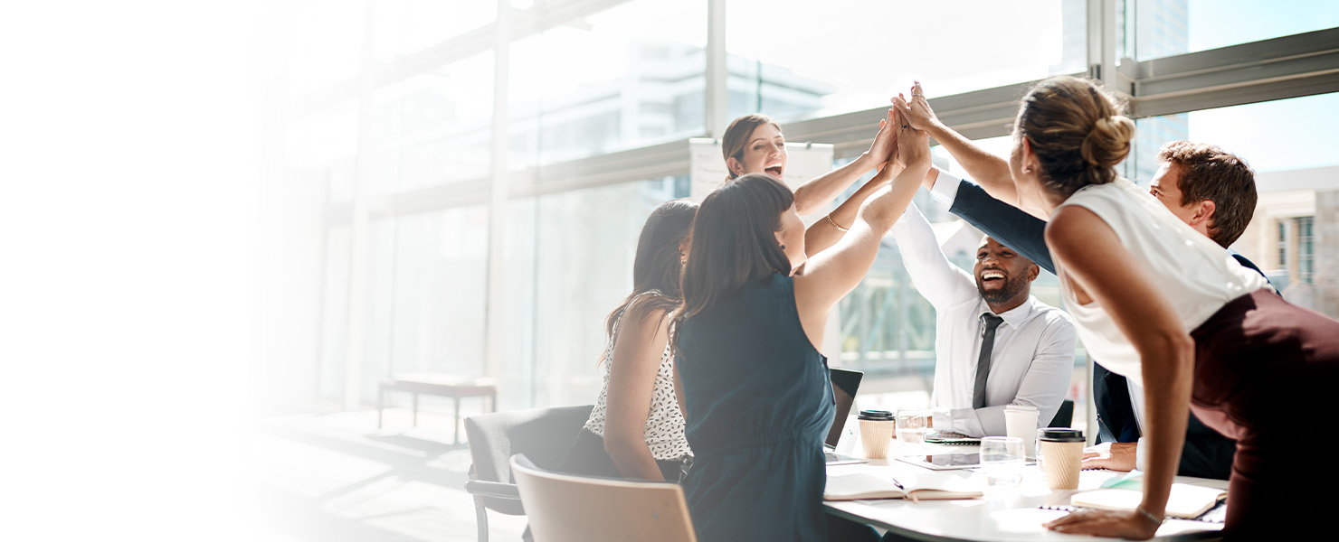 your business strategy and clientele